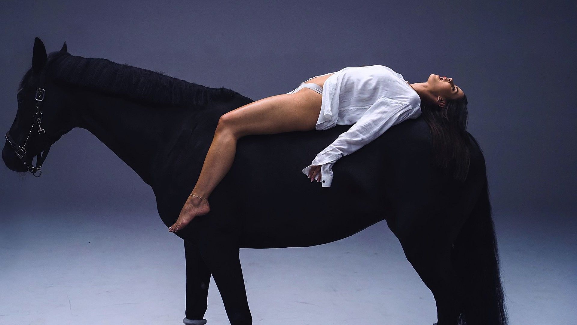 Black horse | Scrolller