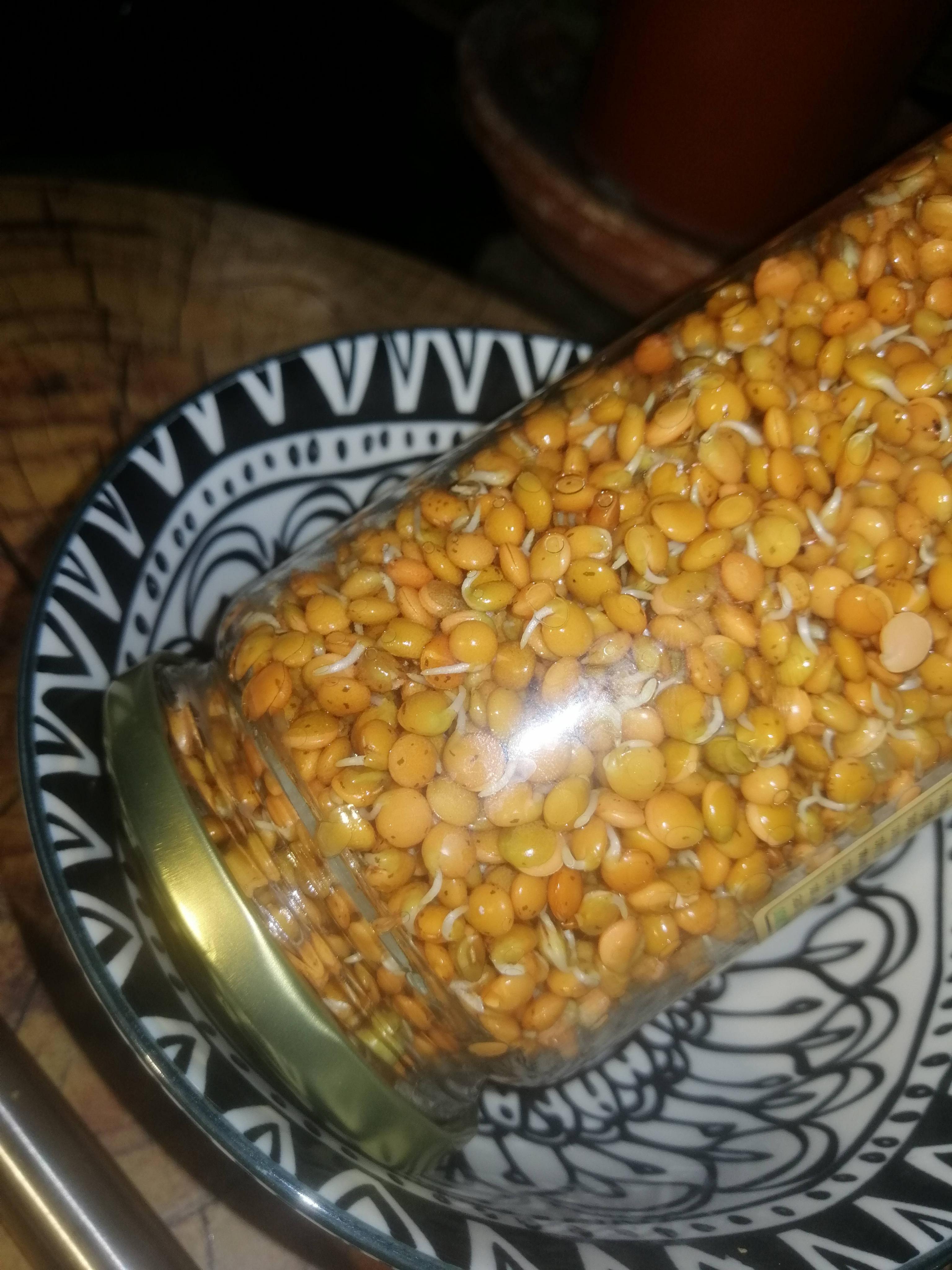 Black spots on lentils. Mold? | Scrolller