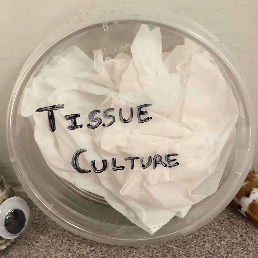 Bless you! | Scrolller