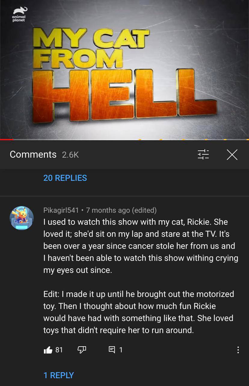 Blessed_Cat | Scrolller