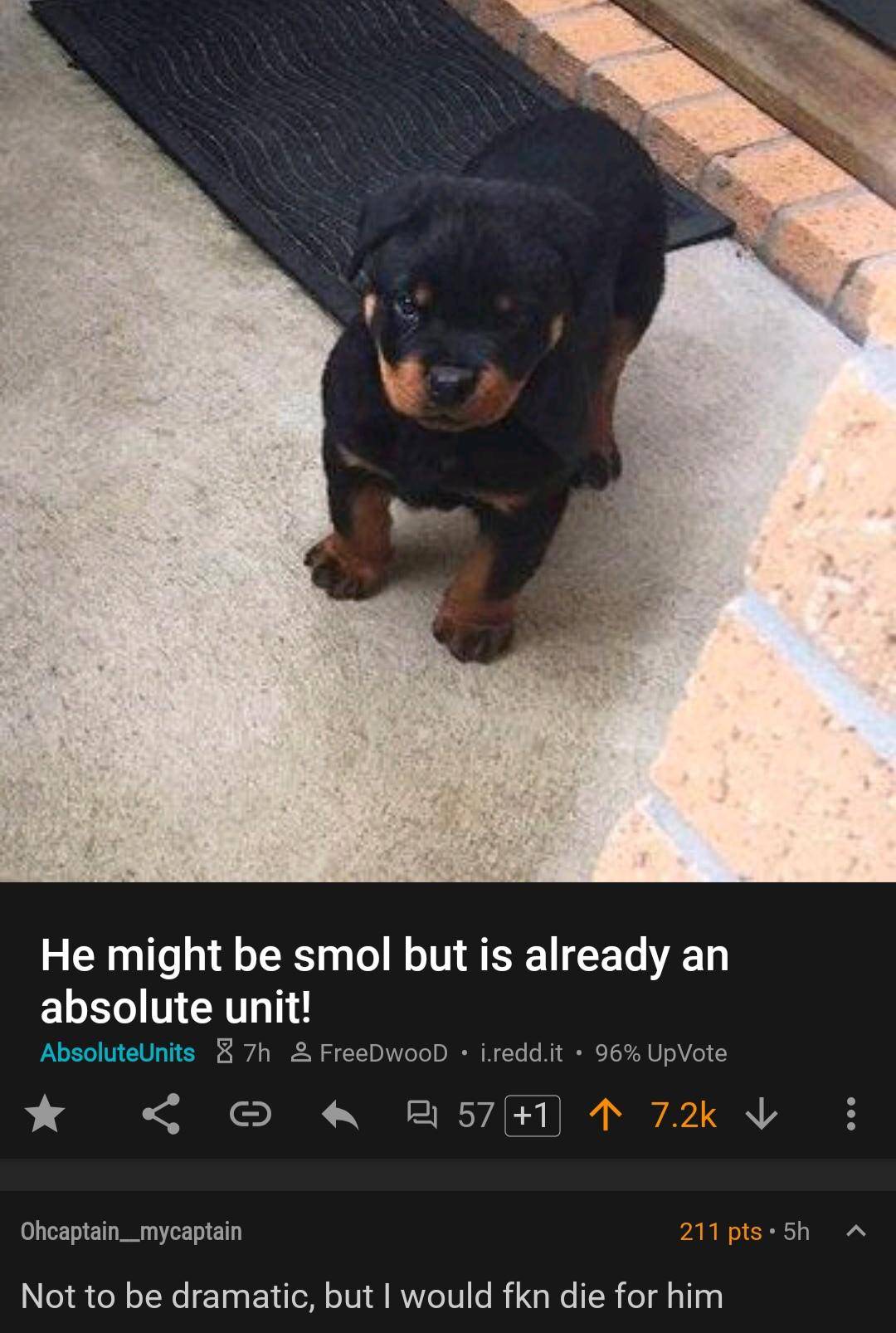 blessed drama | Scrolller