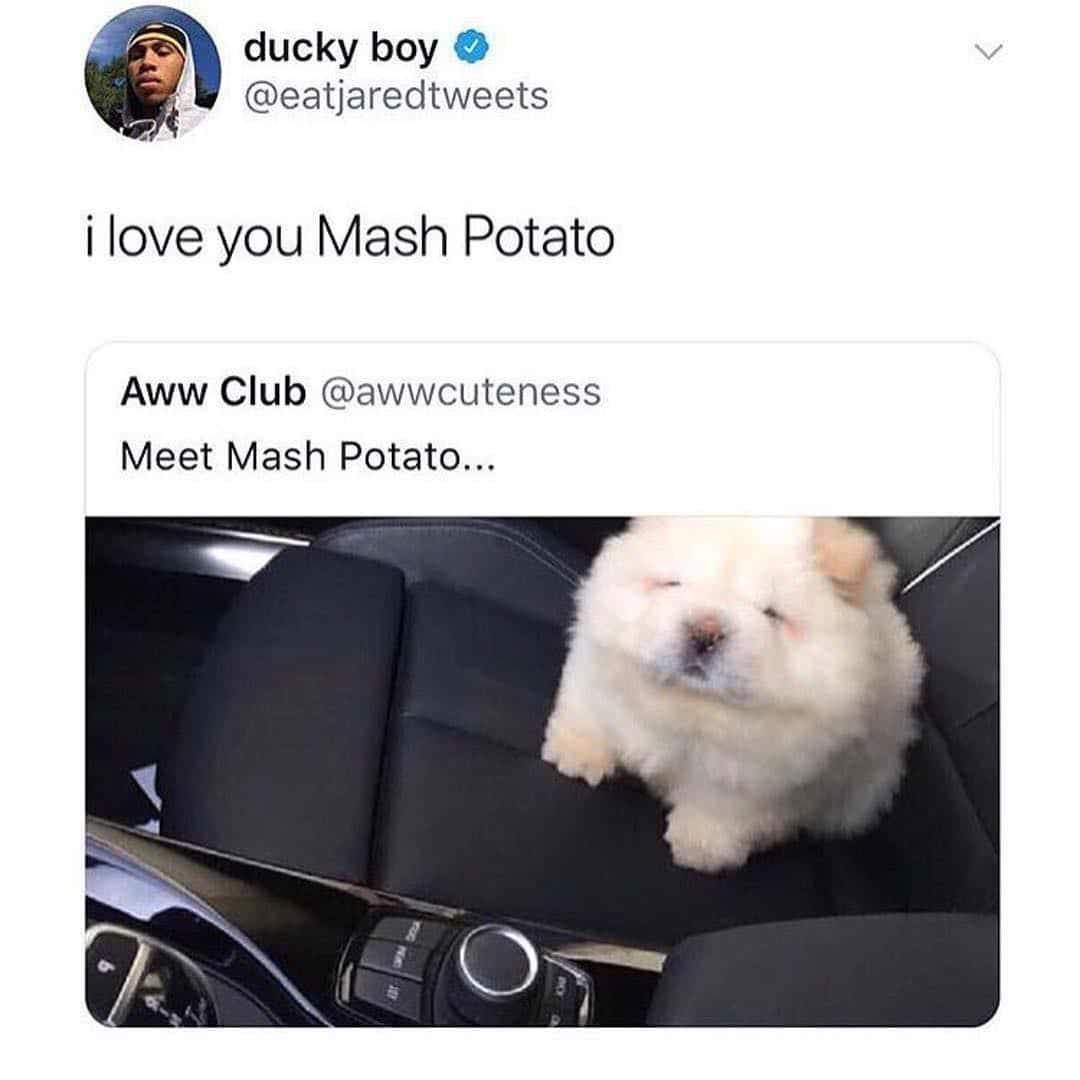 Blessed potato | Scrolller