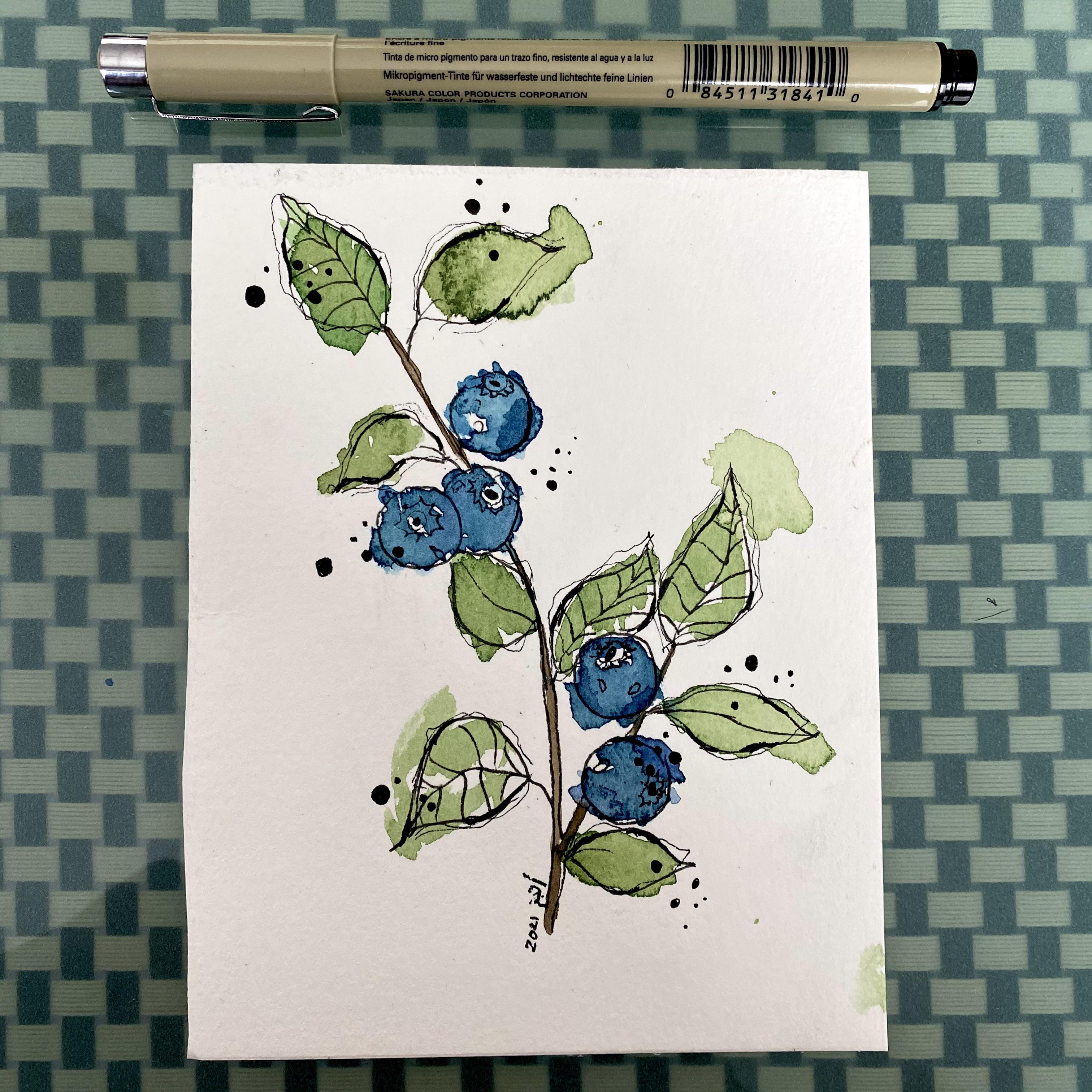 Blueberries | Scrolller