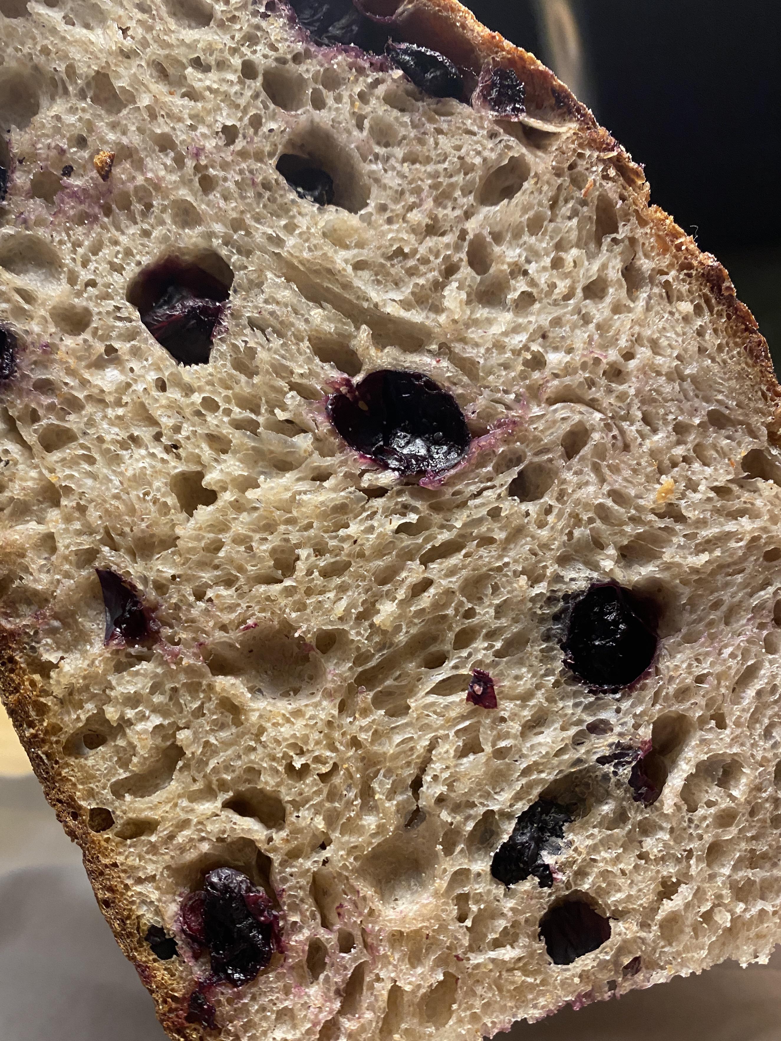 Blueberry Sourdough | Scrolller