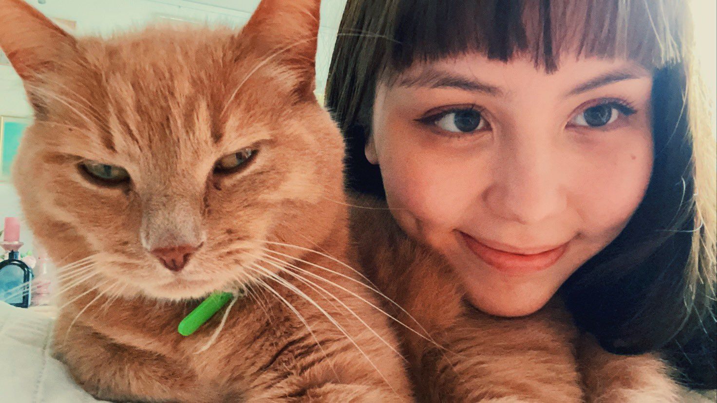 BlueKatie's qt Kitty 🐈 | Scrolller