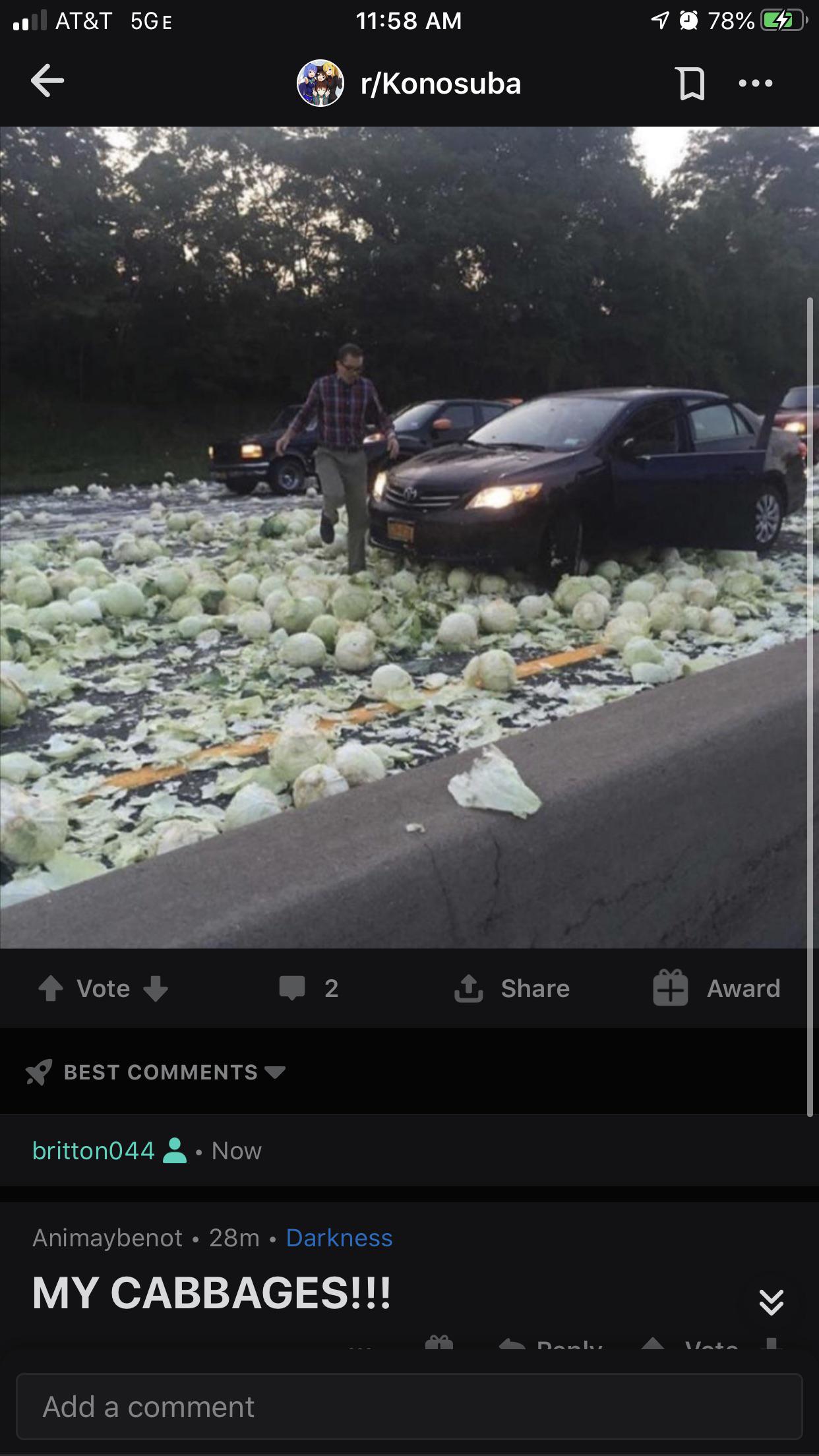 Blursed_cabbage man | Scrolller