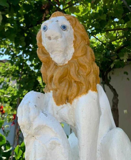 Blursed lion | Scrolller