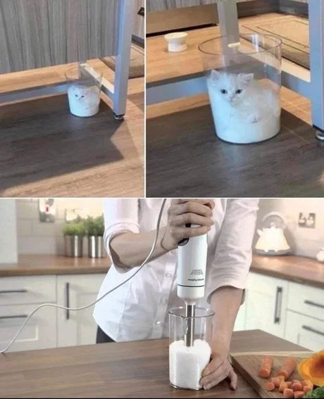 Blursed meowlk-shake | Scrolller