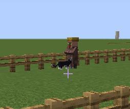 Blursed minecraft | Scrolller