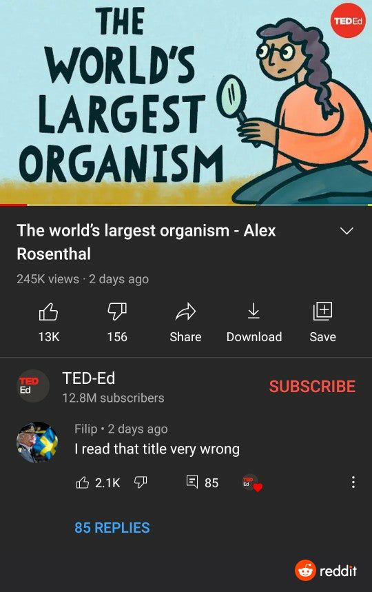 blursed_mistake | Scrolller