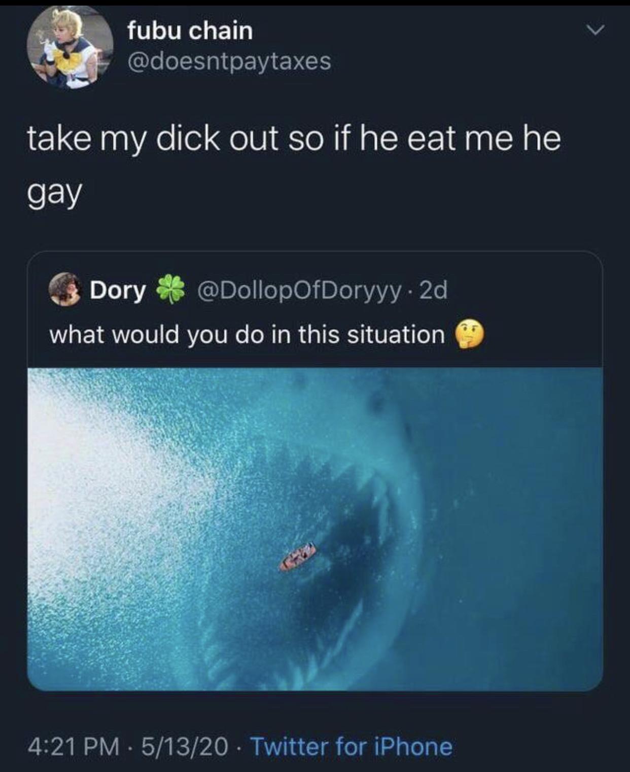 Blursed_shark | Scrolller