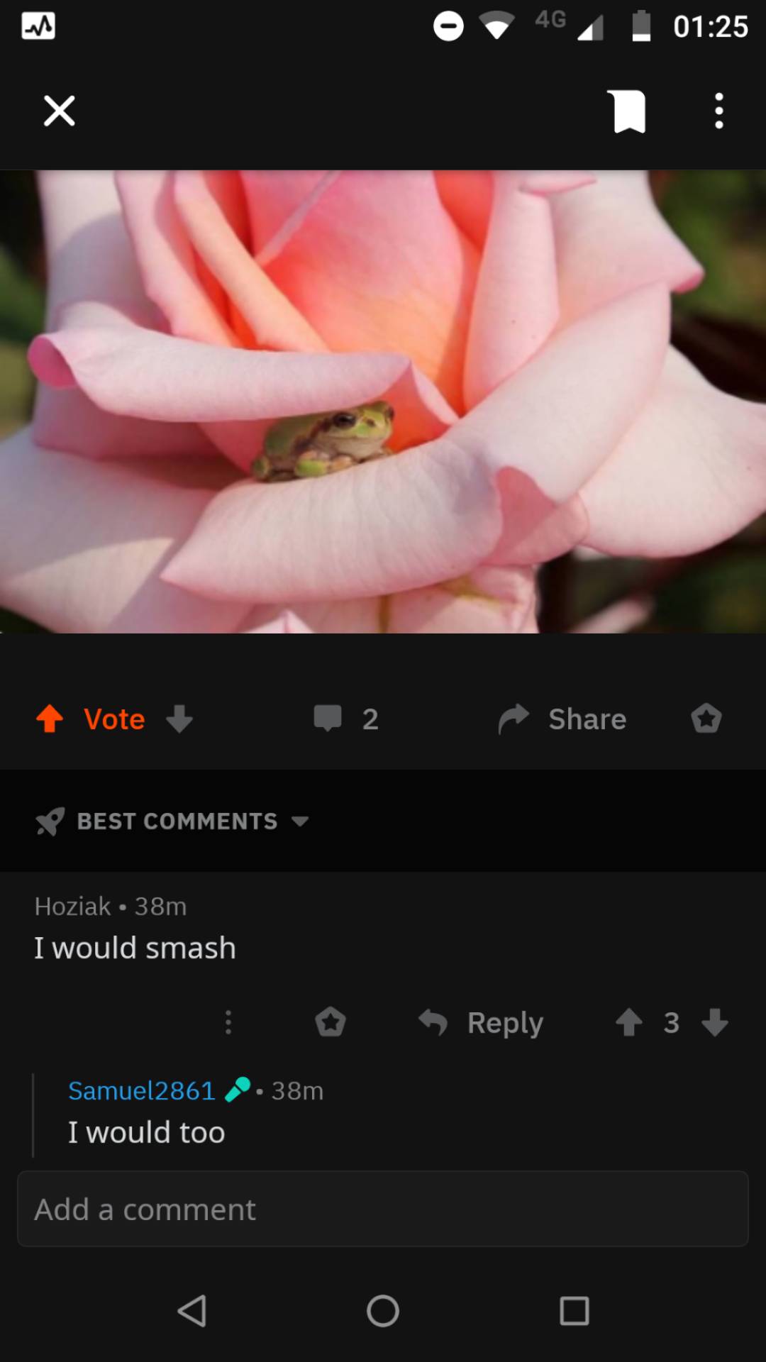 Blursed_smash | Scrolller