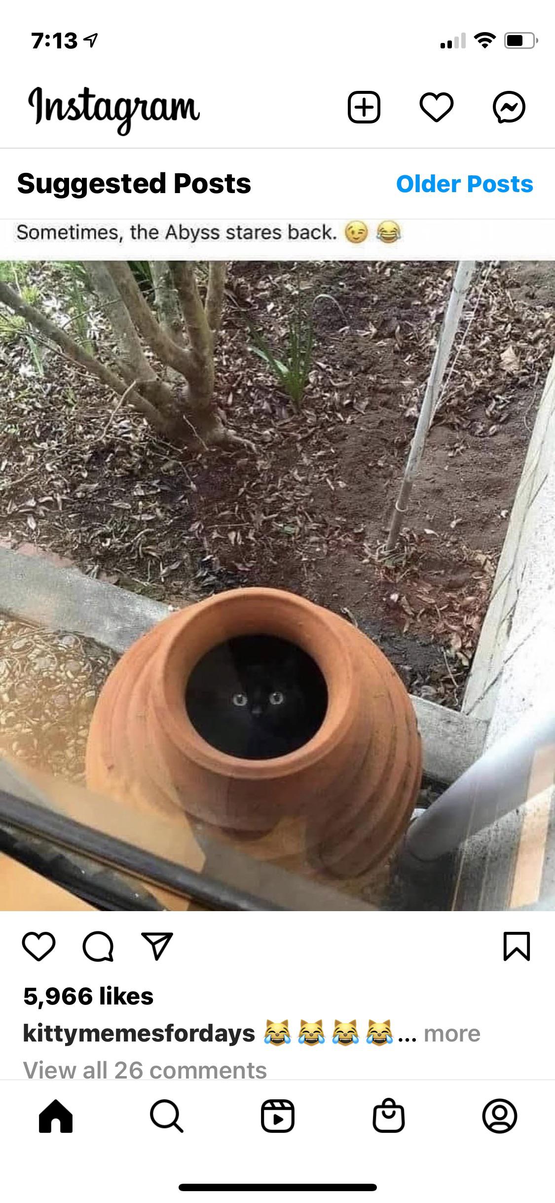 Blursed vase | Scrolller