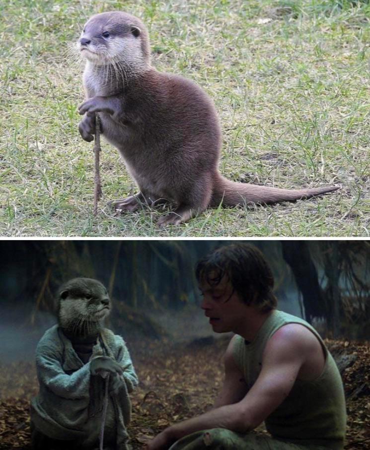 Blursed_Yotter | Scrolller