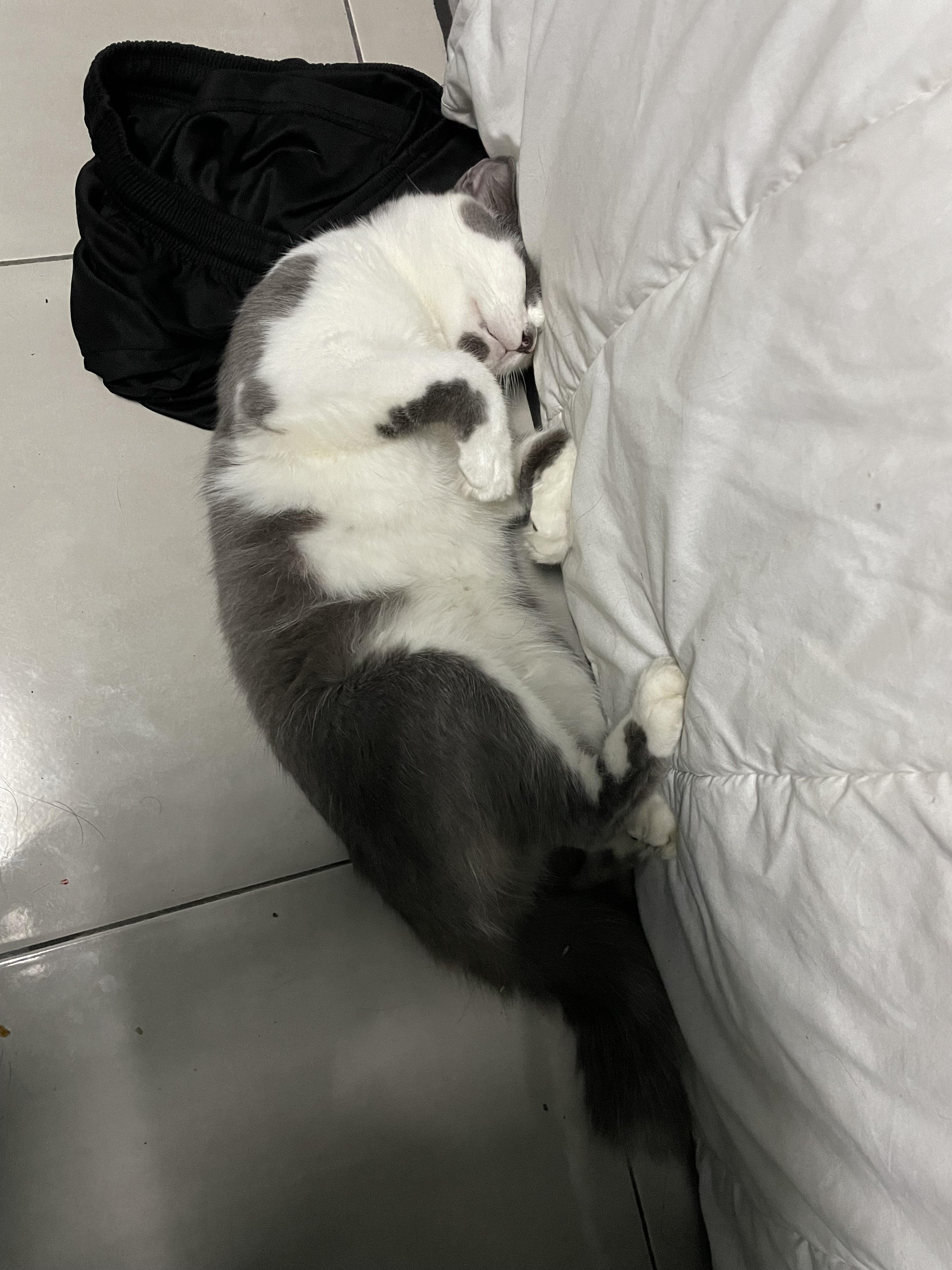 Boi sleep | Scrolller