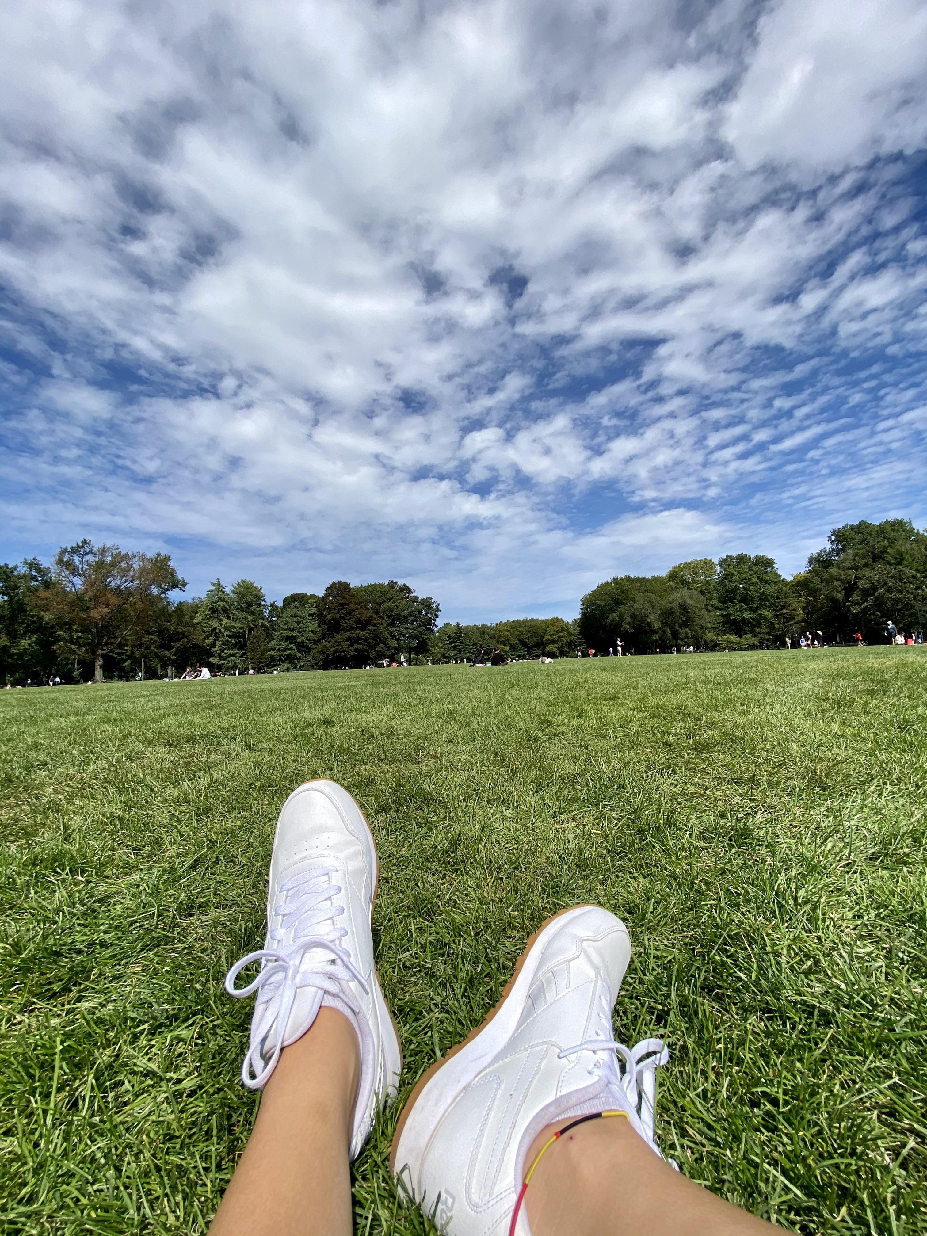 Boks made it to Central Park today. | Scrolller
