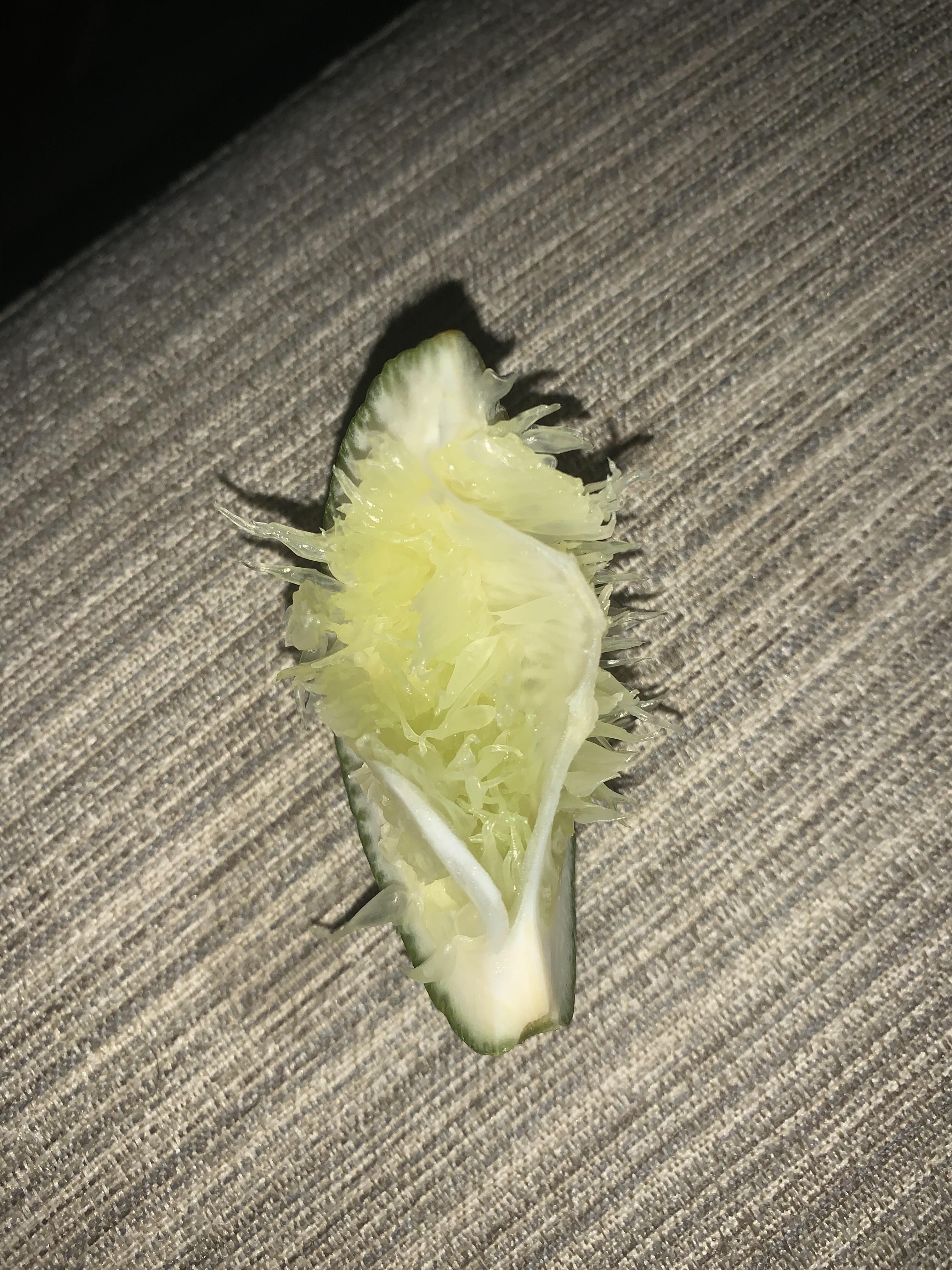 Bonky lime | Scrolller