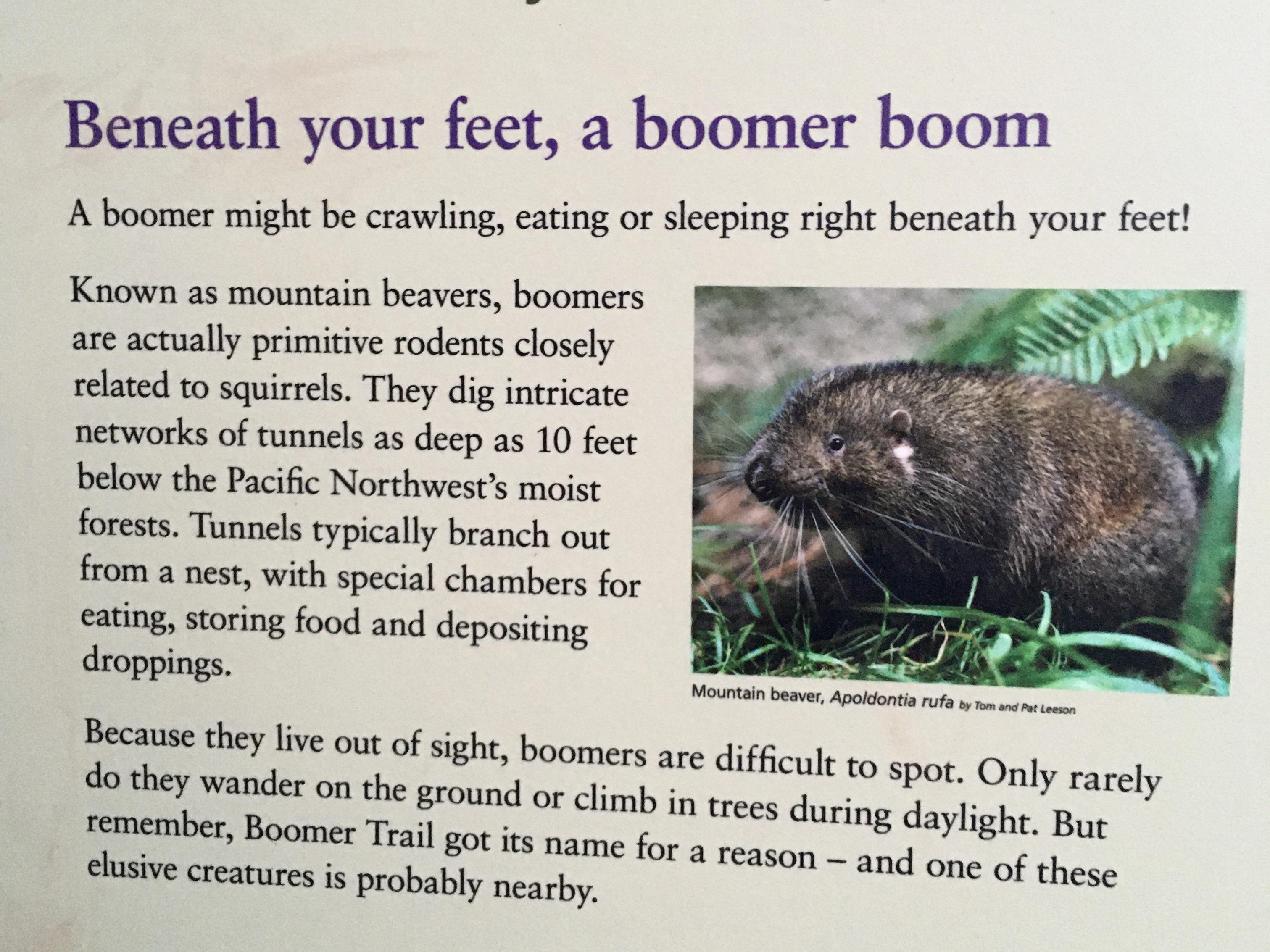 Boomers beneath my feet | Scrolller