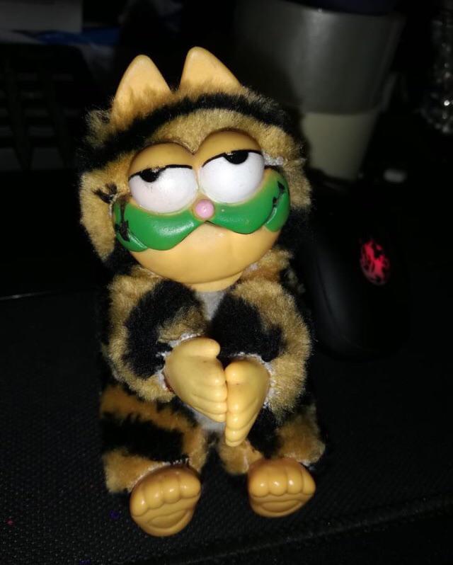 Bootleg ....Garfield? | Scrolller