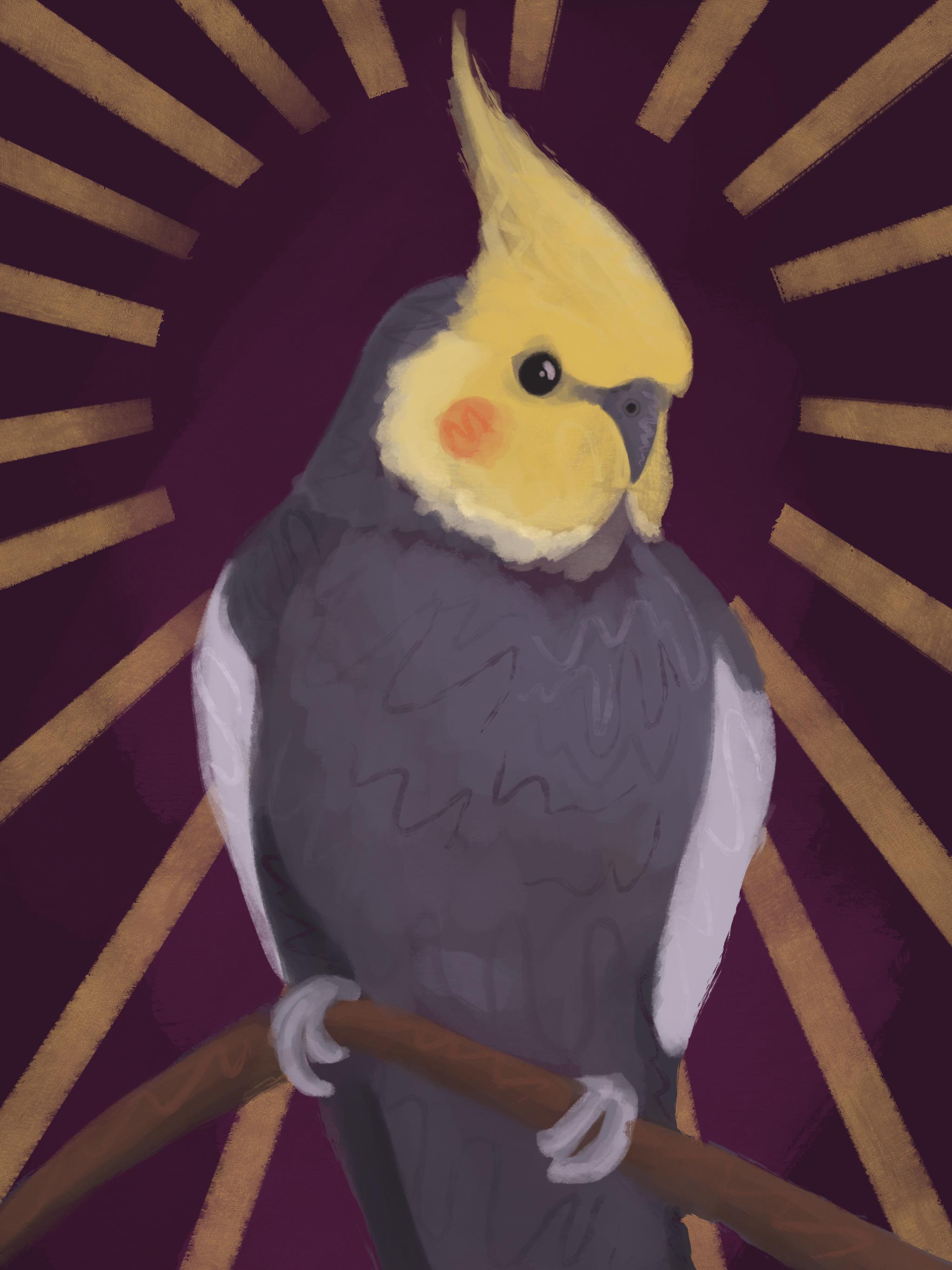 Borb | Scrolller