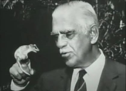 Boris Karloff with tiny opossum | Scrolller