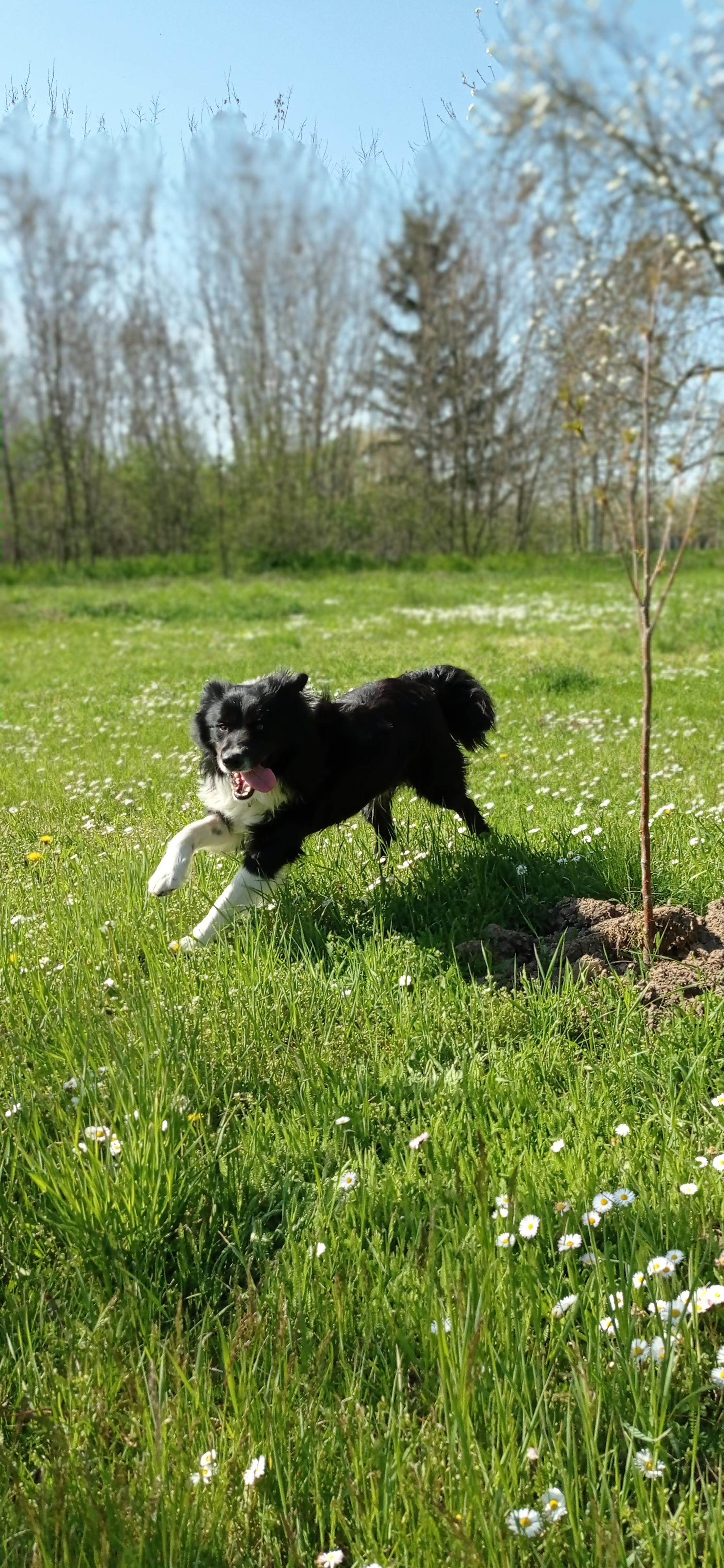 Born to be wild | Scrolller