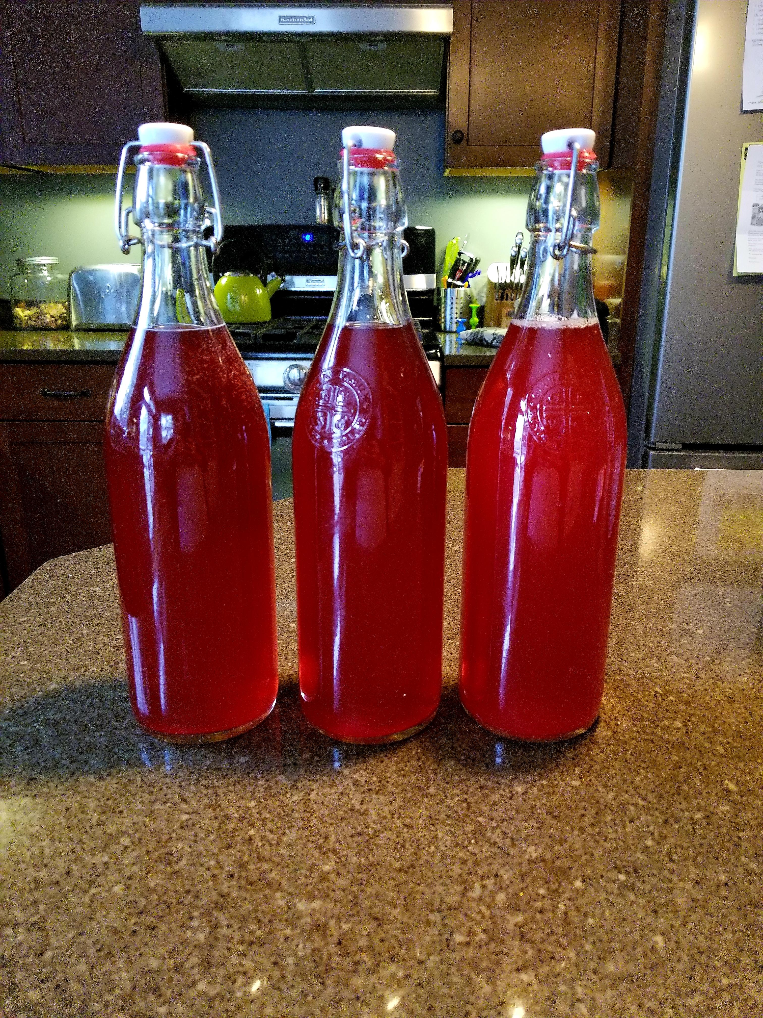 Bottled my first ever attempt today. Now we wait. | Scrolller