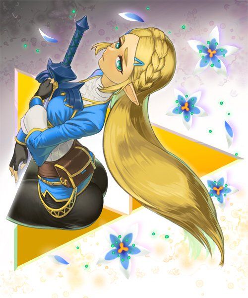 Botw Princess Zelda | Scrolller