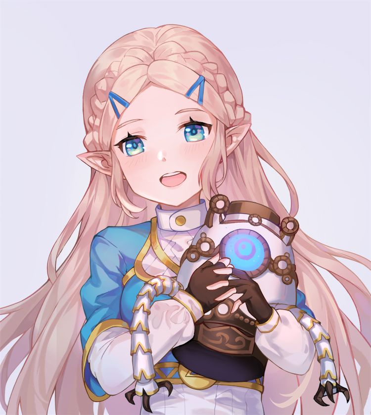 BotW Zelda | Scrolller