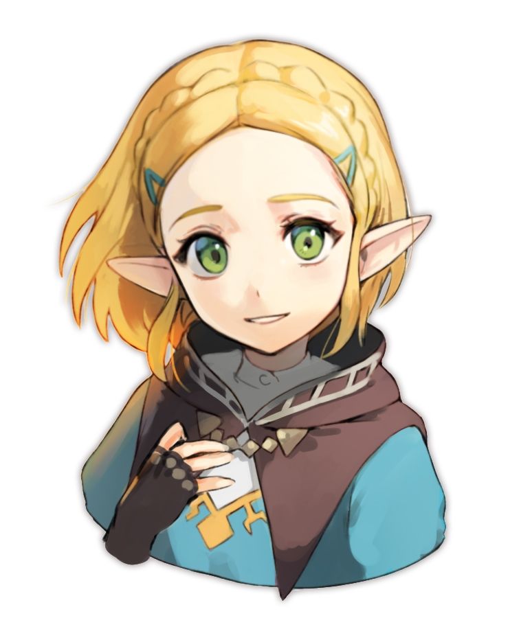 BOTW Zelda | Scrolller