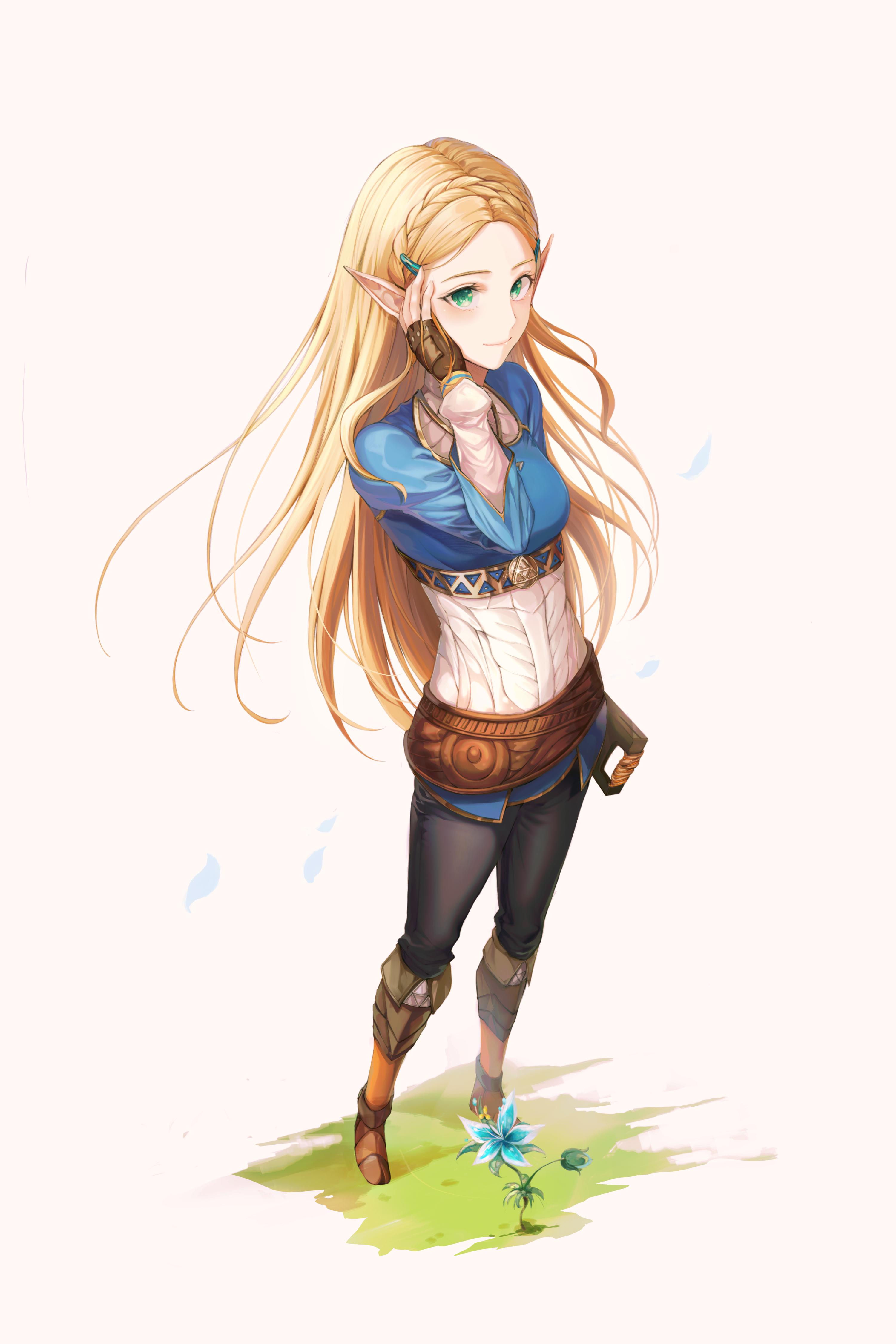 BOTW Zelda | Scrolller