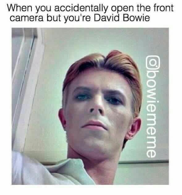 Bowie meme | Scrolller