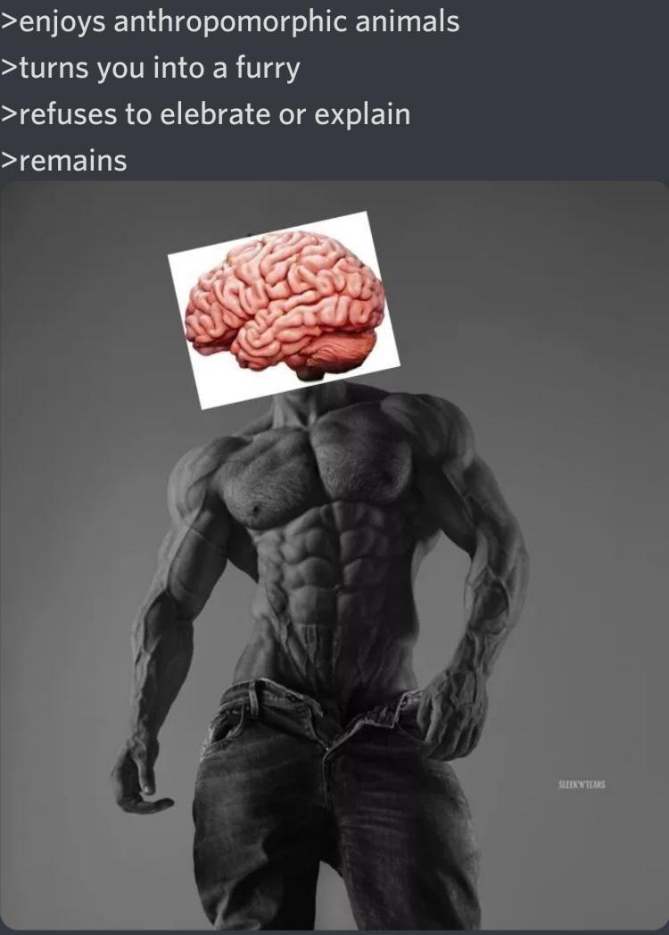 Brain_irl | Scrolller