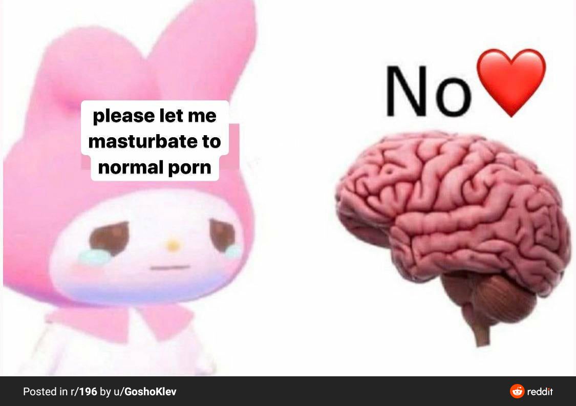 Brain_irl | Scrolller