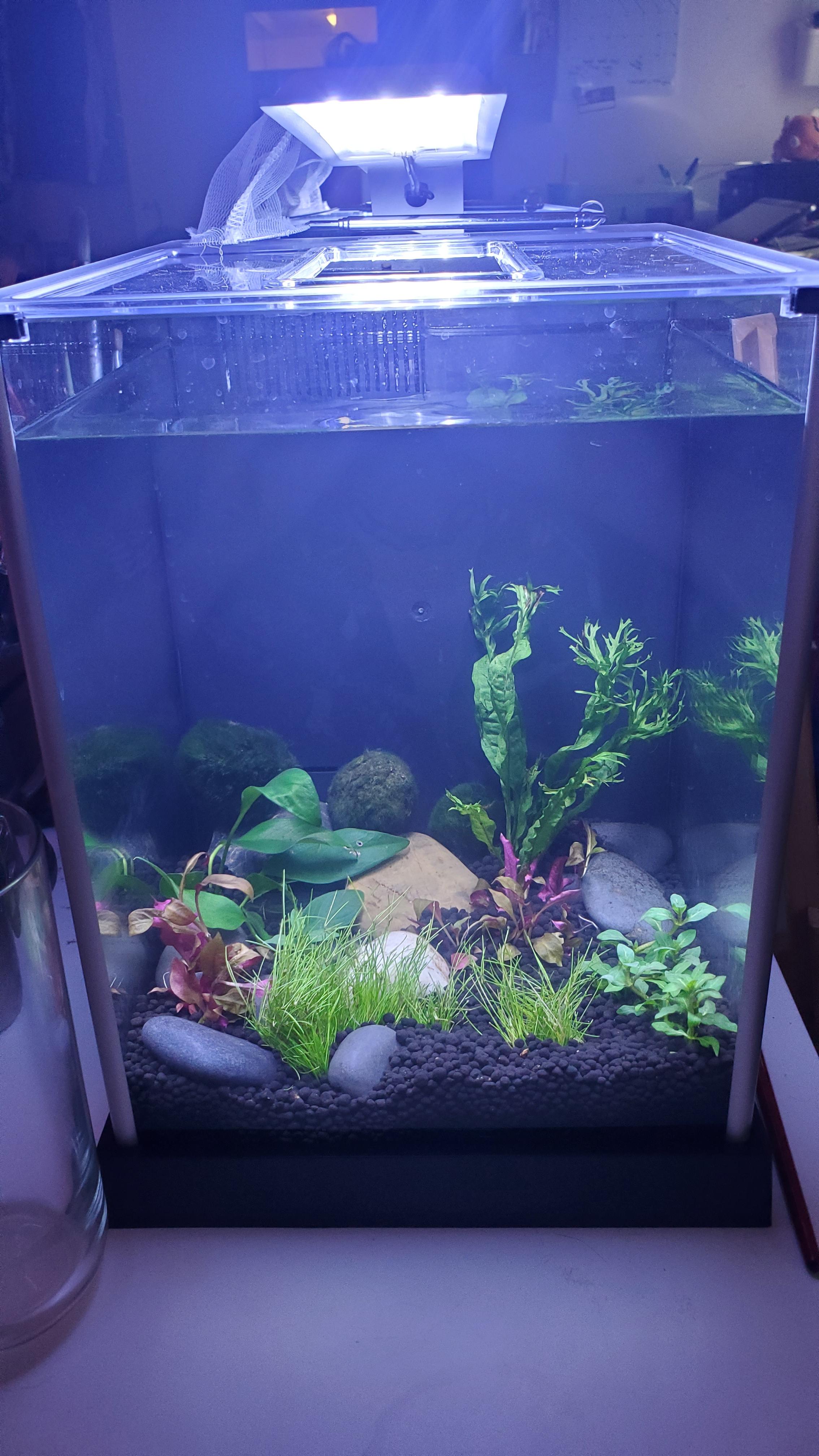 Brand new ! Tips /advice needed | Scrolller