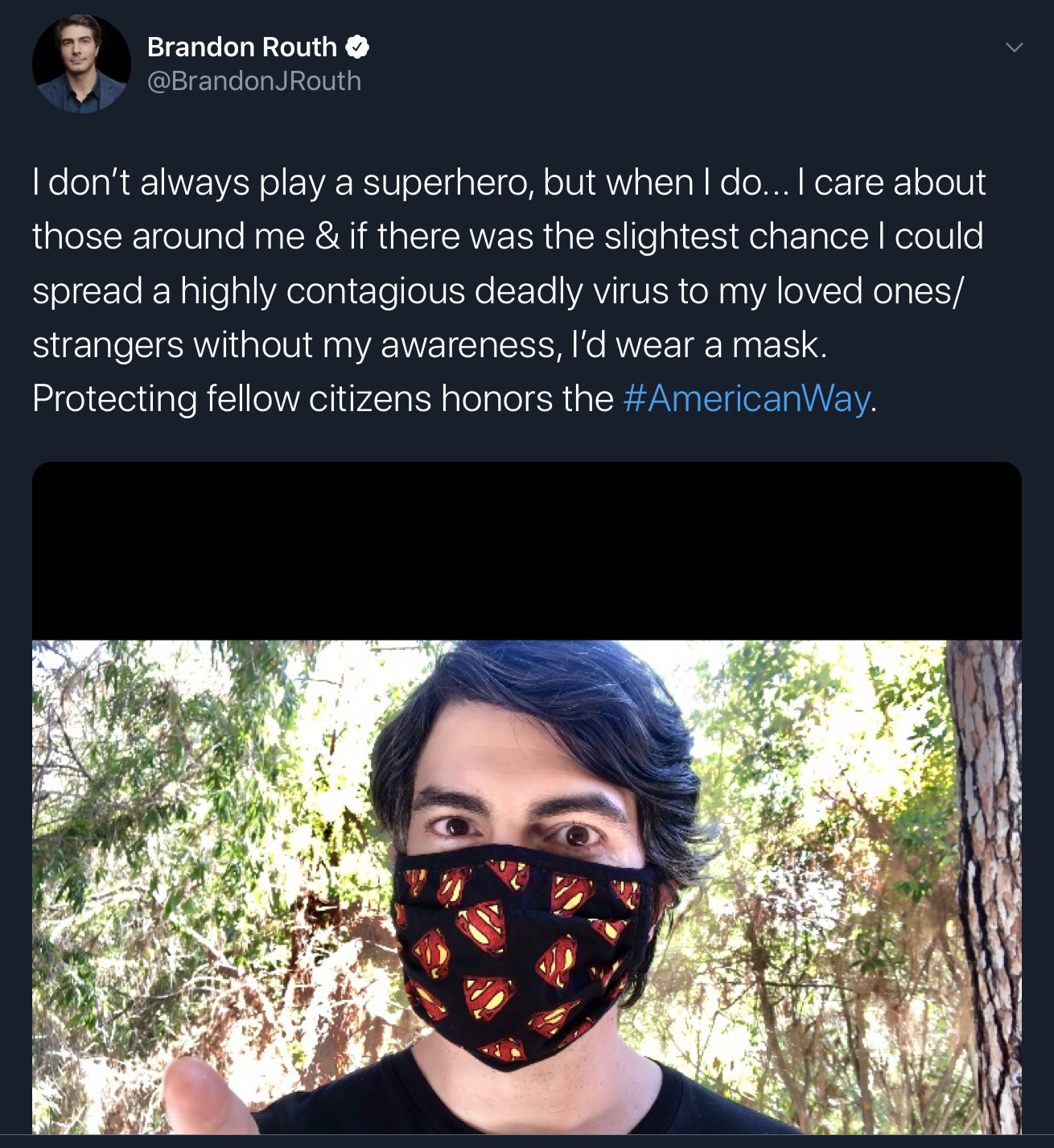 Brandon will always be Ray Palmer | Scrolller