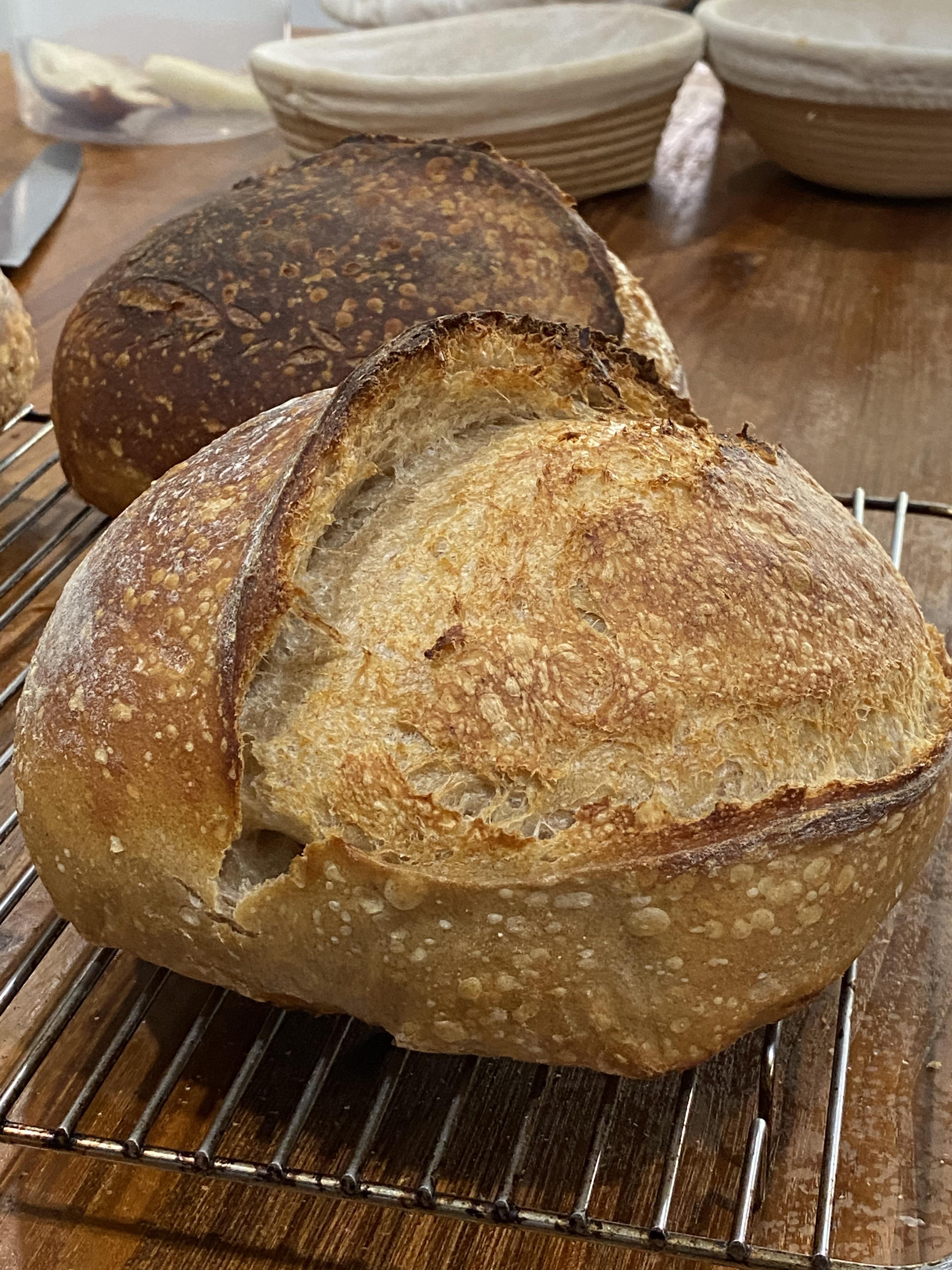 Bread butthole train | Scrolller