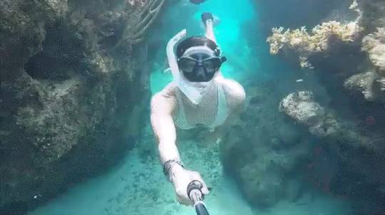 Bridge in motion | Scrolller