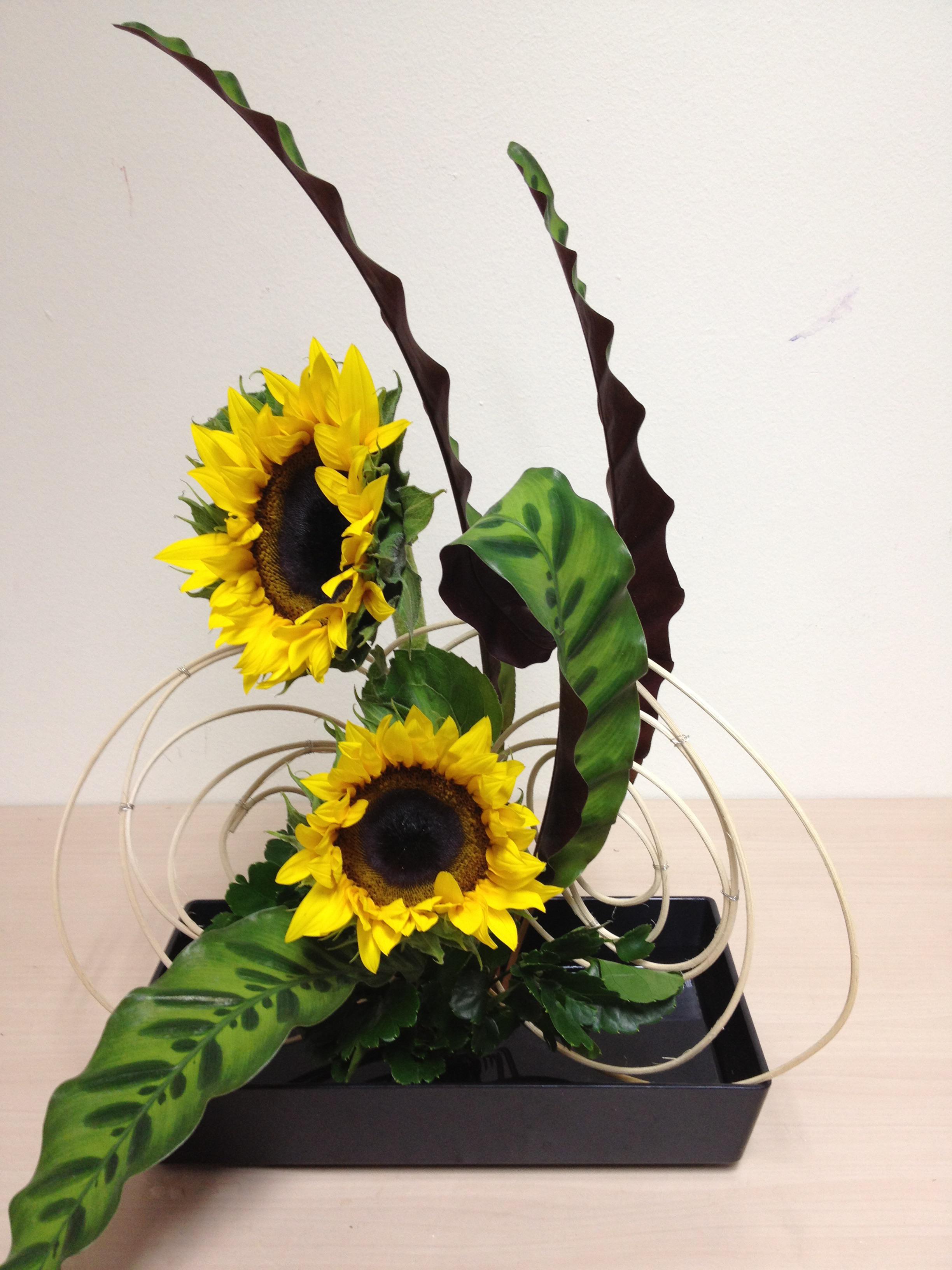 Bright future | Scrolller