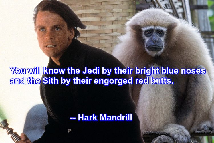 Bringing balance to the primate Force | Scrolller