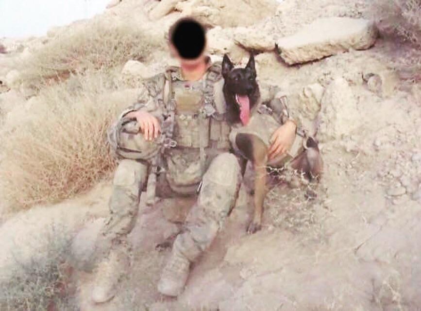 British 22 SAS dog Handler 🇬🇧 | Scrolller