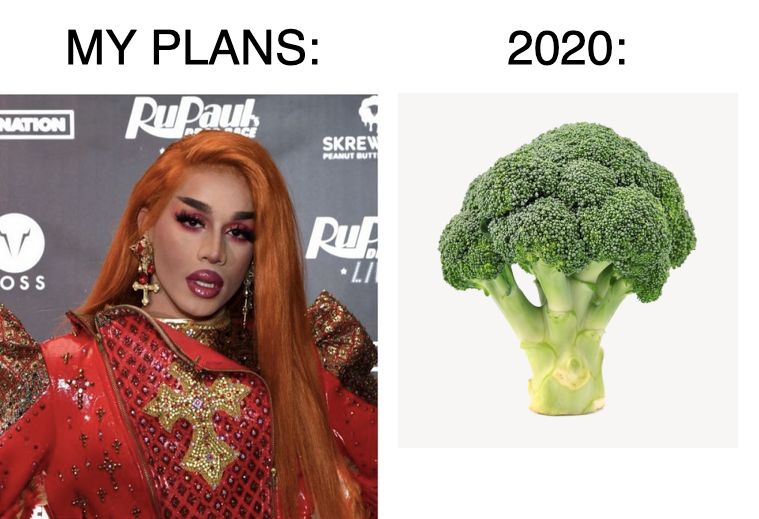 Broccoli Ally | Scrolller