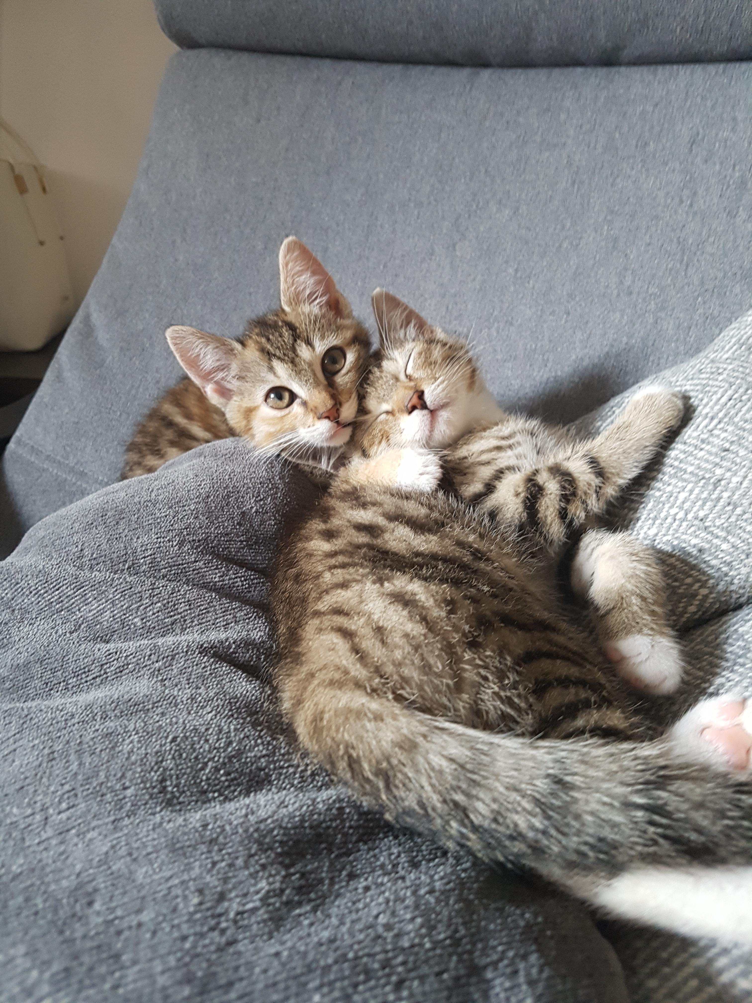 Brother and sister :) | Scrolller