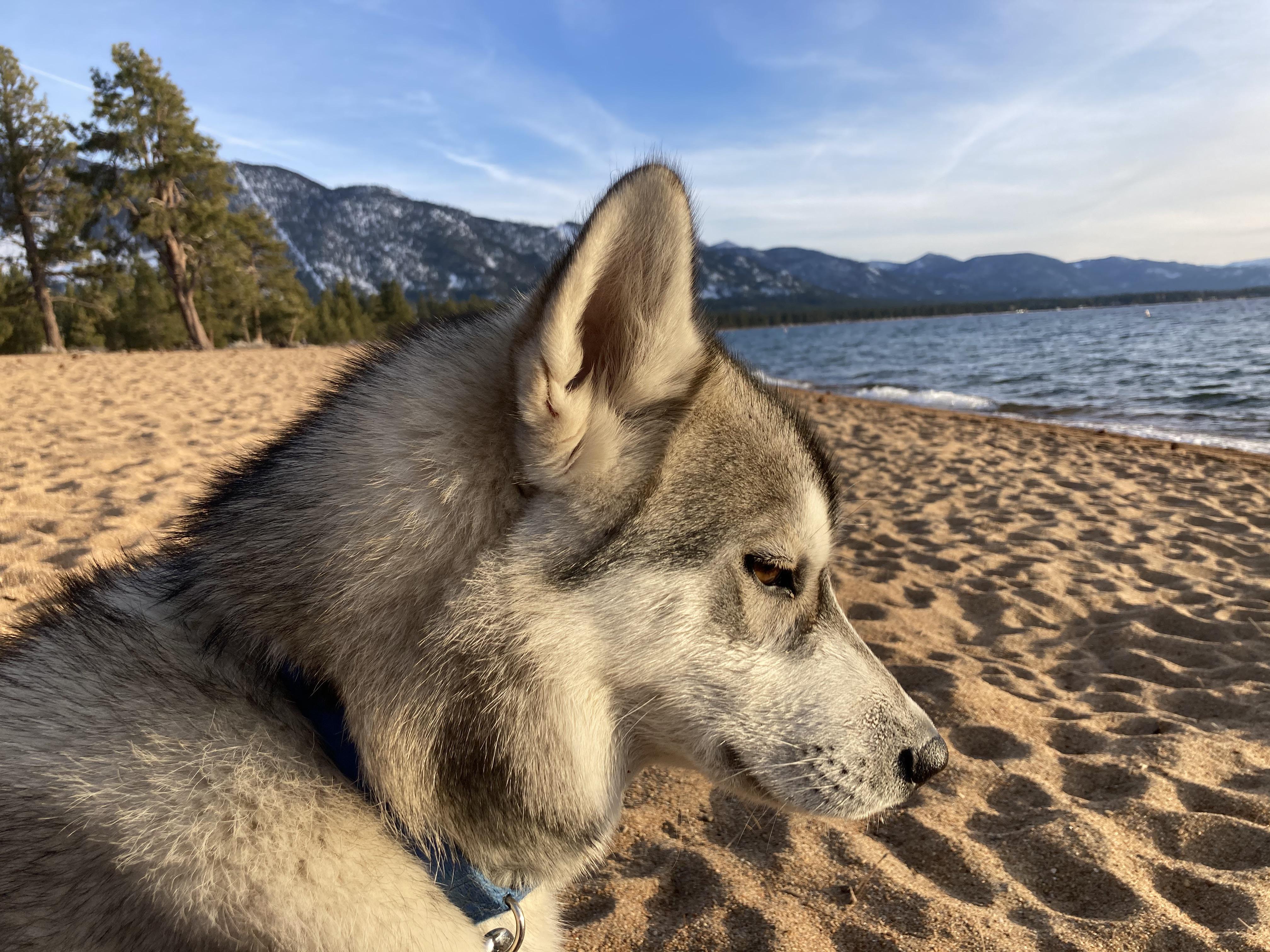 Bruce, deep in thought... | Scrolller