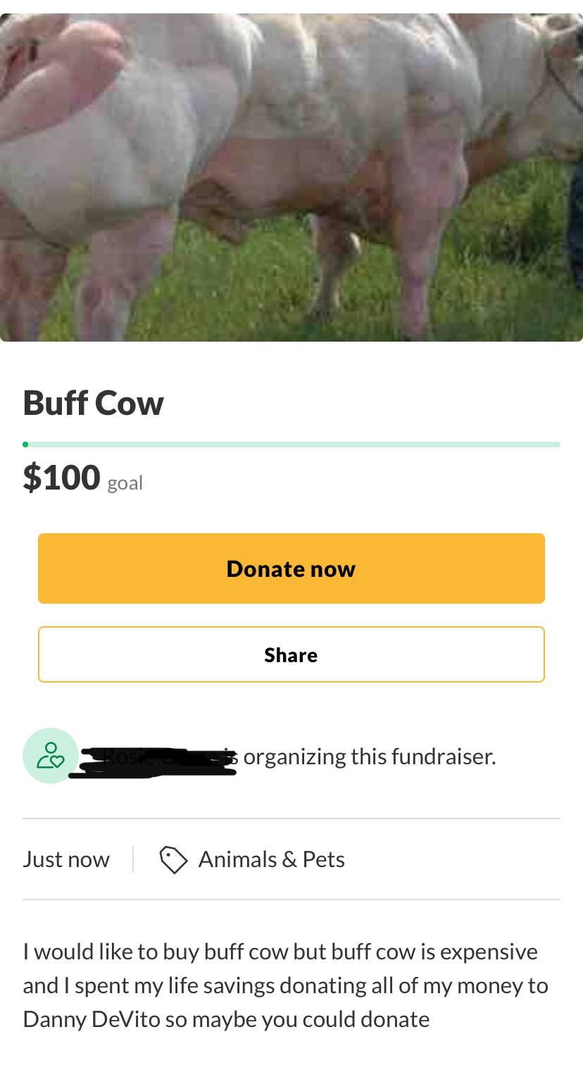 Buff cow | Scrolller