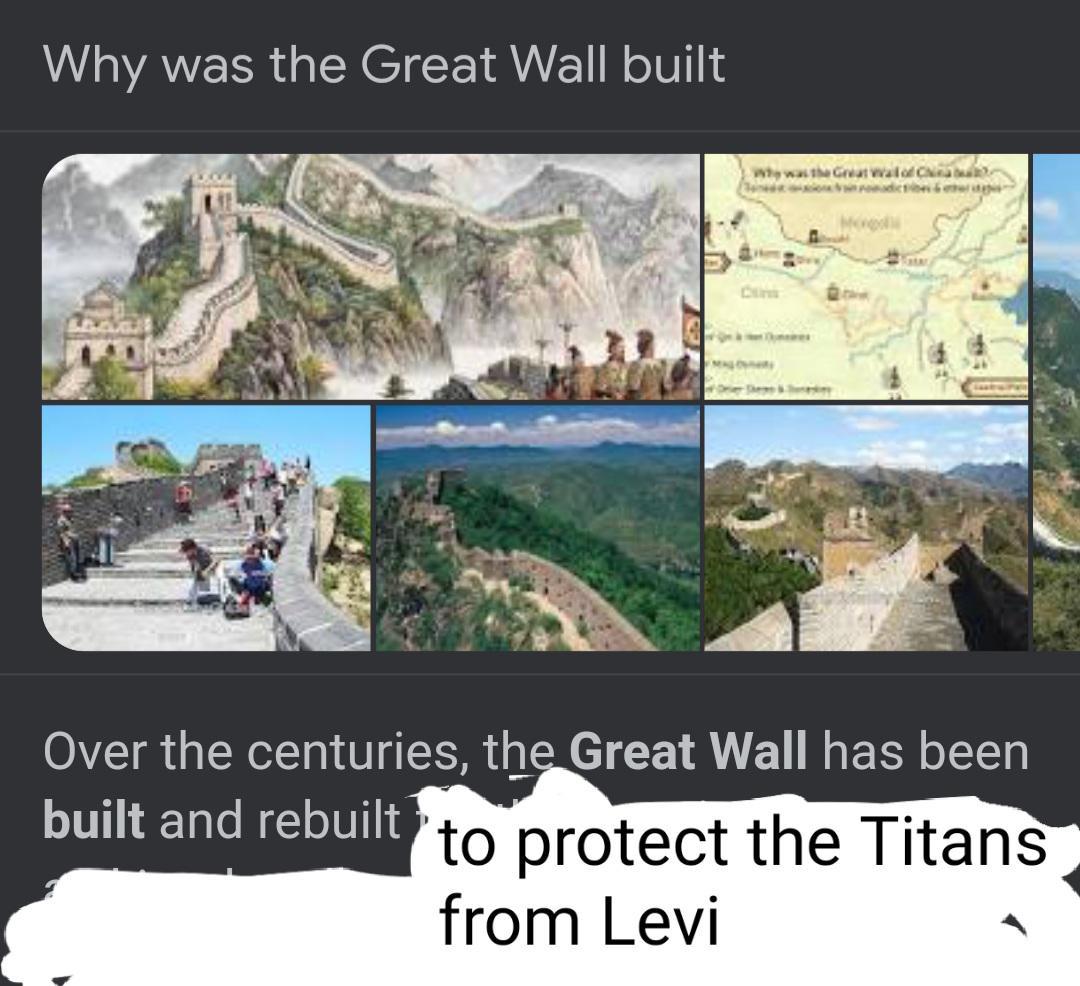 Build walls from levi titan protect | Scrolller