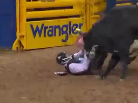 Not his first rodeo | Scrolller