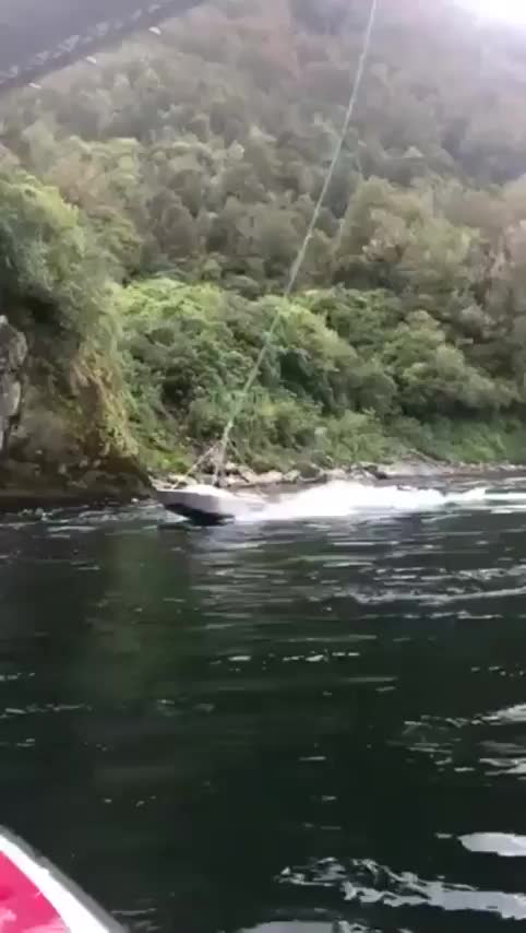 Bungee Boating | Scrolller