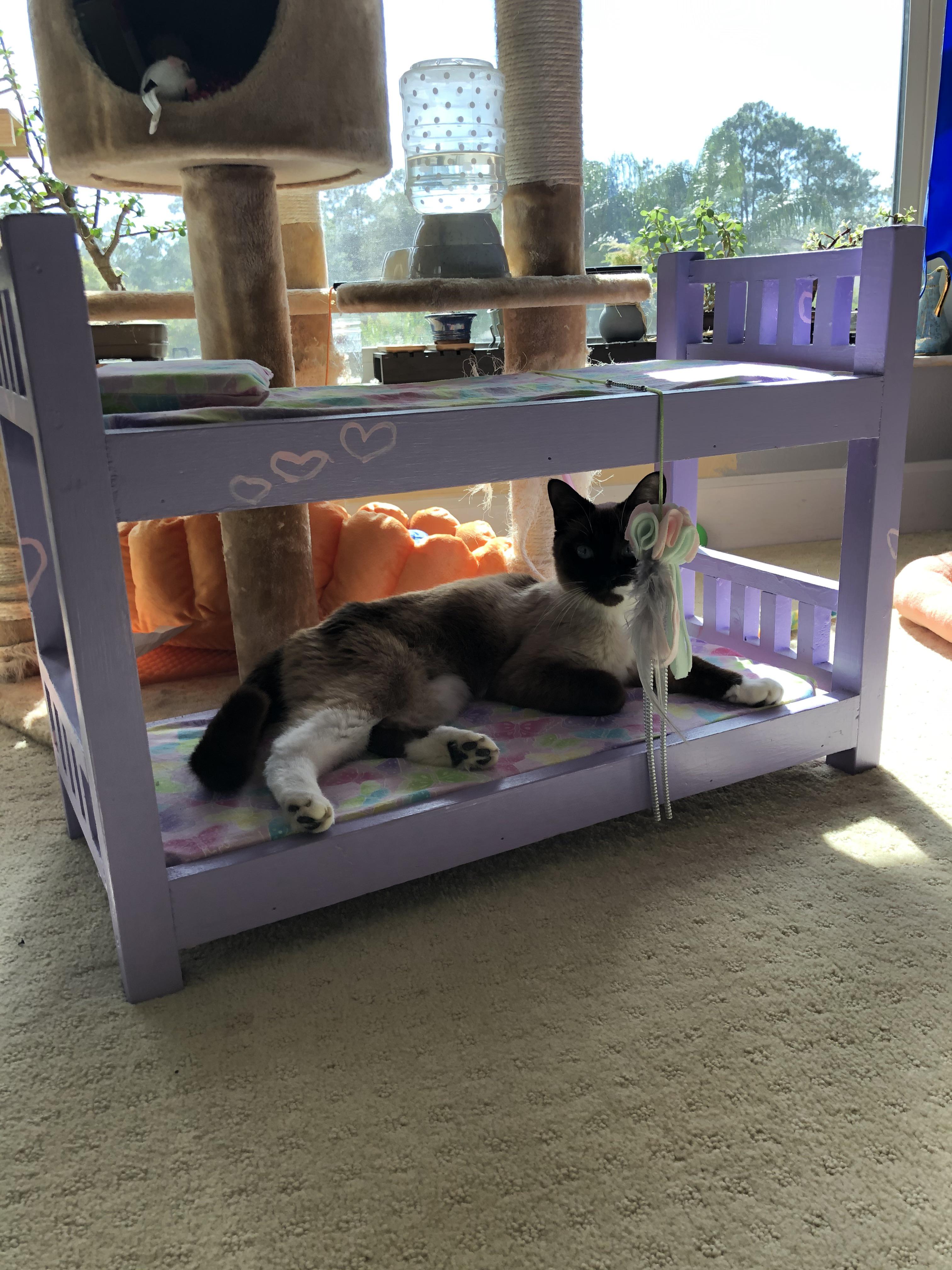 Bunk bed for the princess | Scrolller
