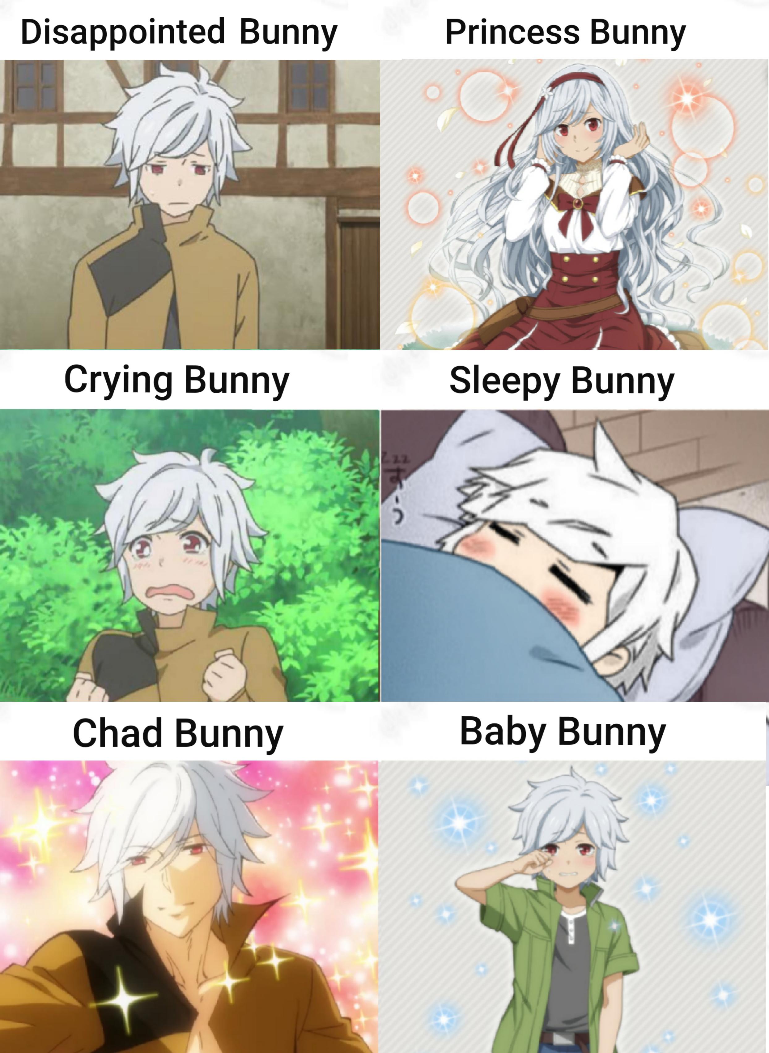 Bunny Breeds | Scrolller